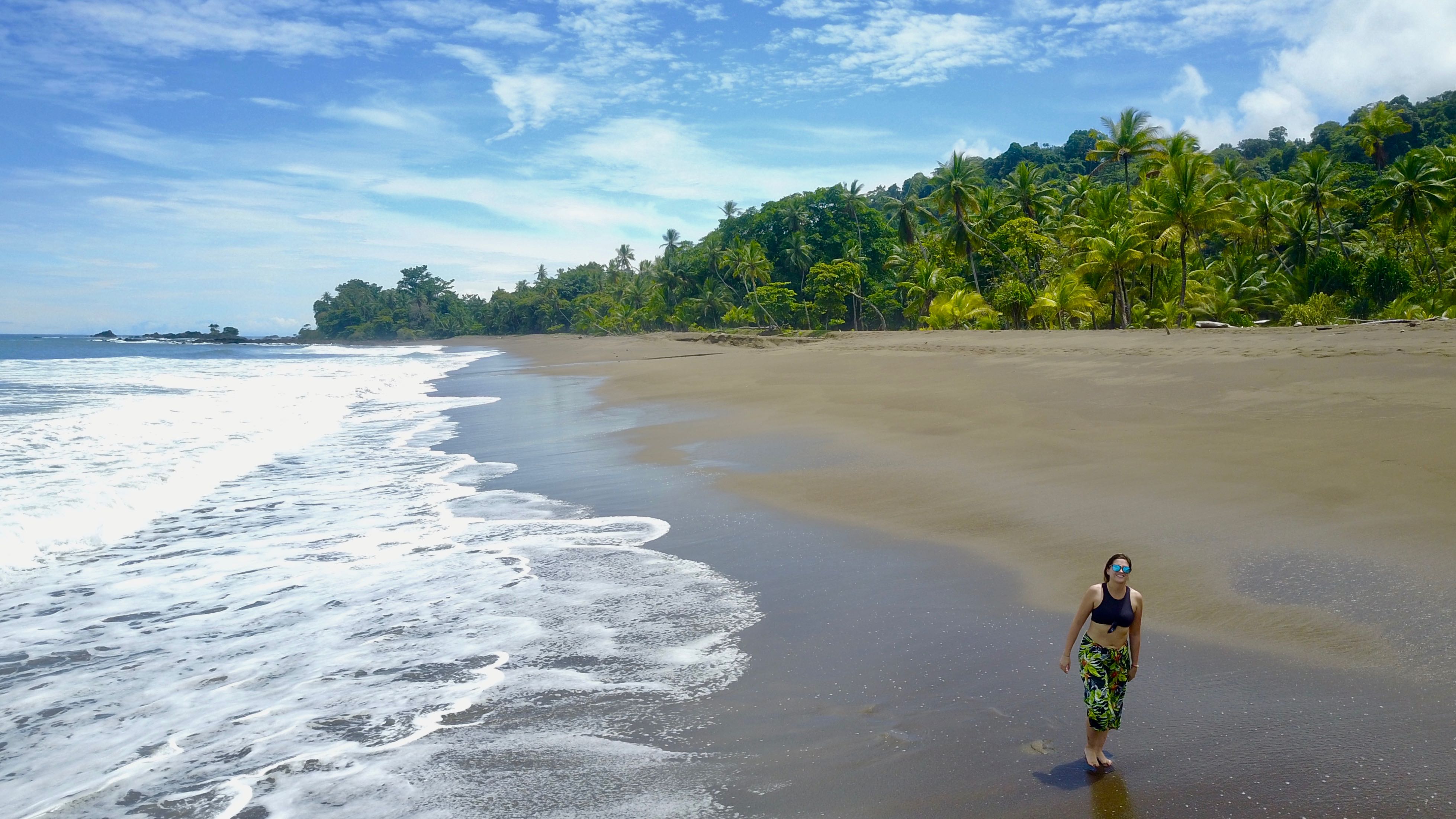 The Rainforest Ocean Setting - Ocean Forest Ecolodge